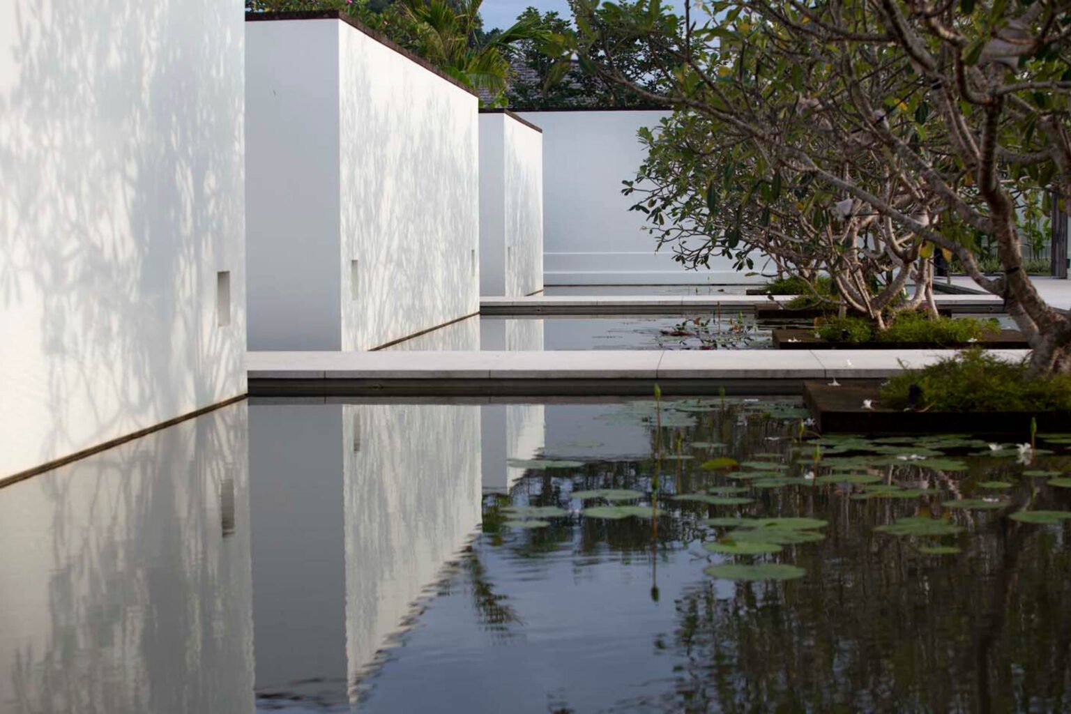 Poetry in the Tropics: The Architecture of Ernesto Bedmar Architects ...