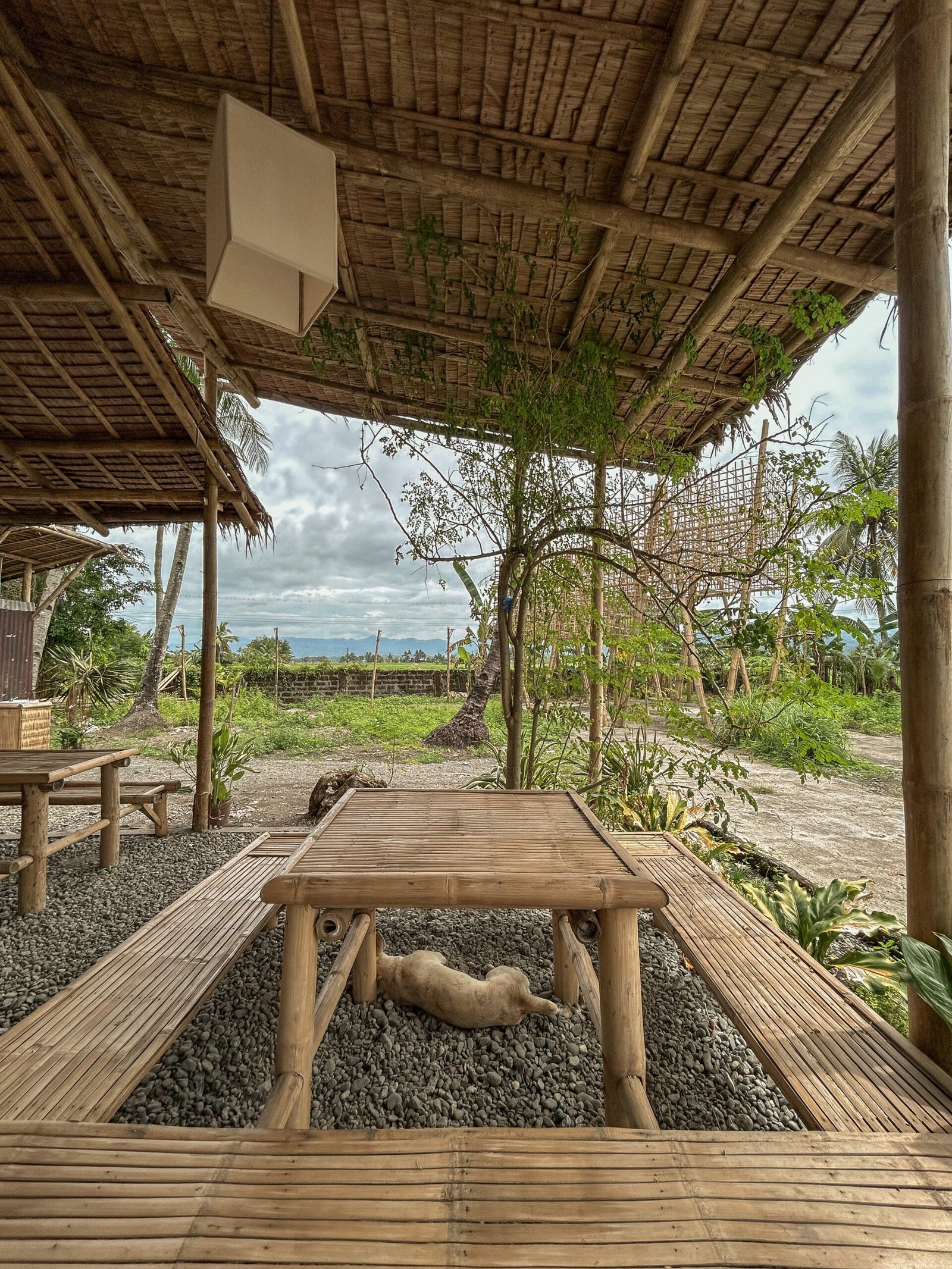 Rustic Rendezvous: Café Ruins by DOCE Design + Build - Kanto - Creative ...