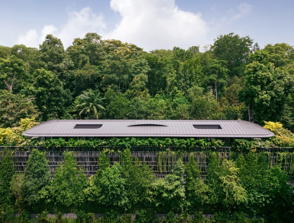 Living Walls: Touching Eden House by Wallflower Architecture + Design ...