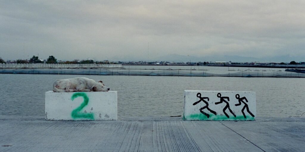 Remaking Moments: Capture & Release by Space Encounters Gallery - Kanto ...