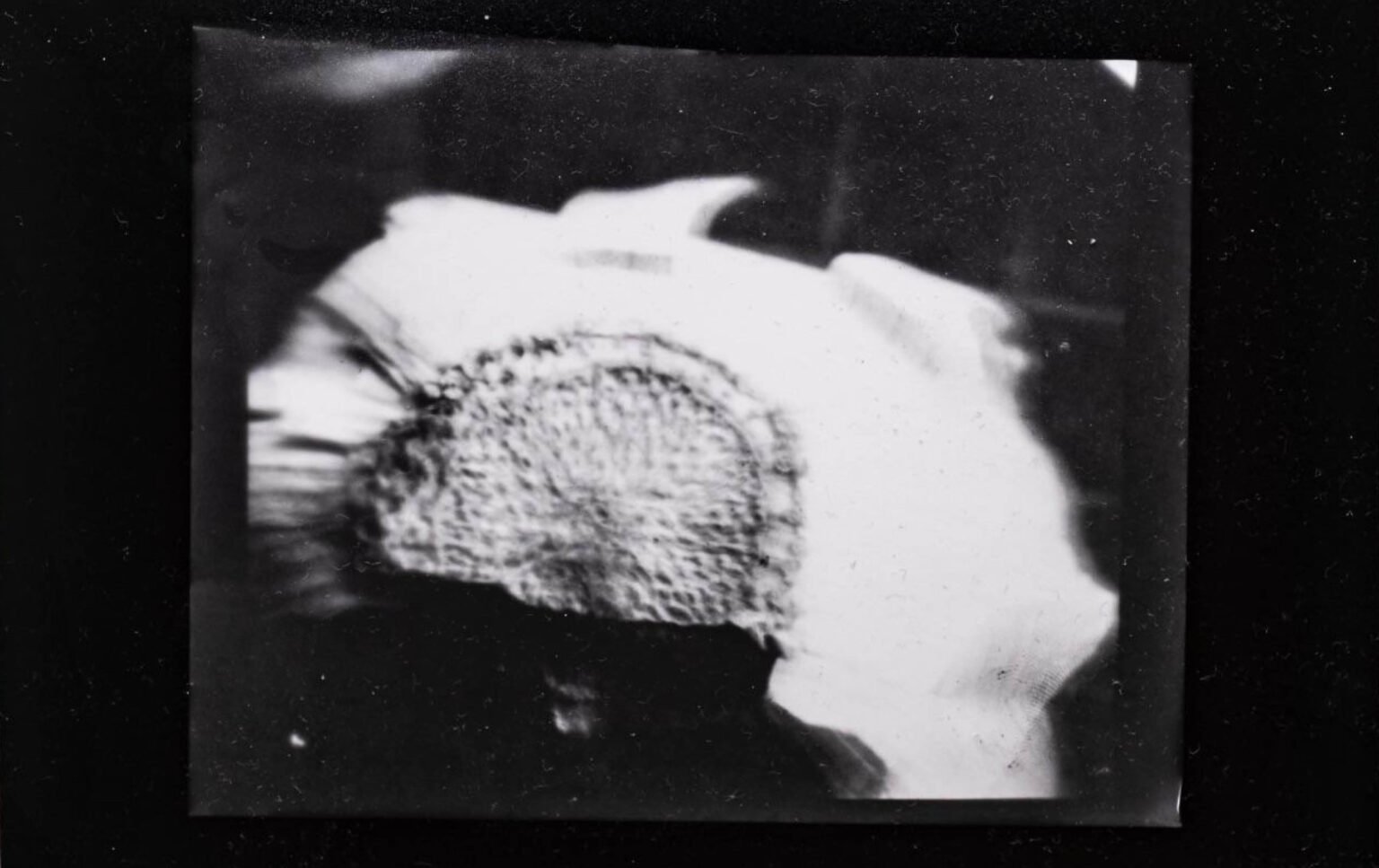 Remaking Moments: Capture & Release by Space Encounters Gallery - Kanto ...