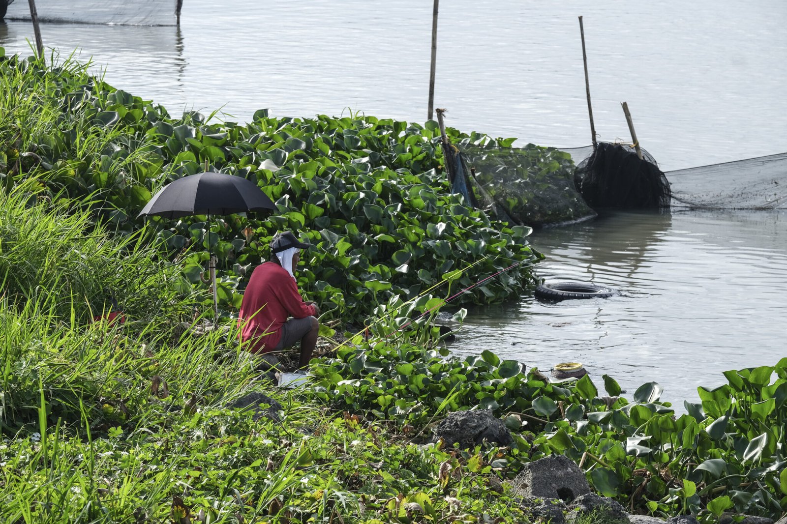 The Water Remembers What We Forget: The Importance of the Pasig River ...