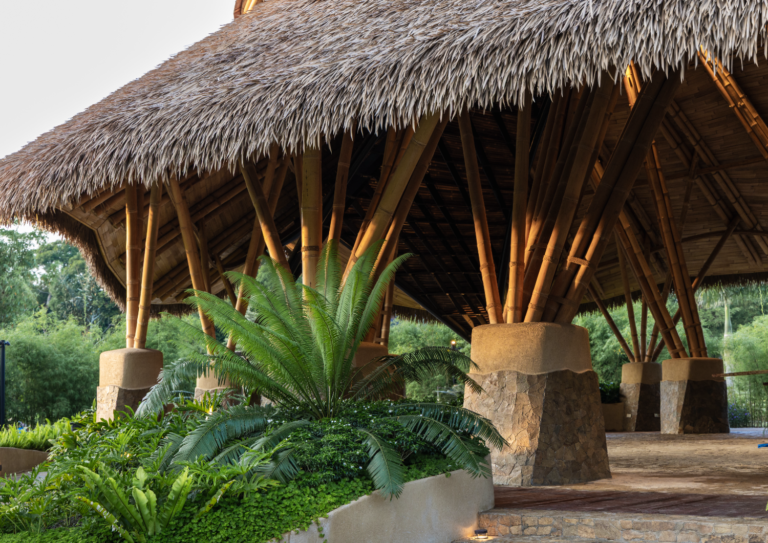 Bamboo, Beyond: Elora and Orin Hardy on Building Kaway’an EcoPark ...