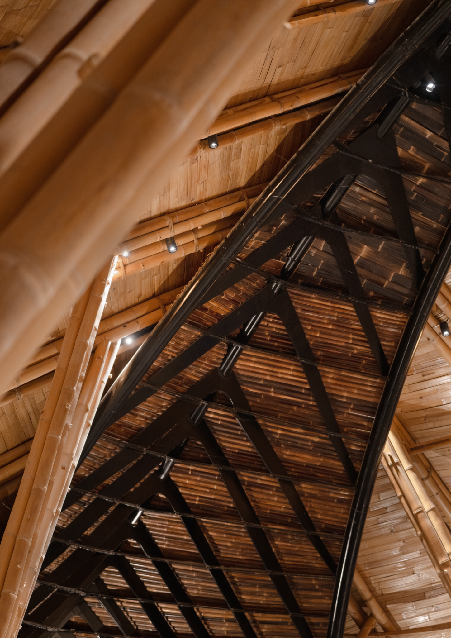 Bamboo, Beyond: Elora and Orin Hardy on Building Kaway’an EcoPark ...