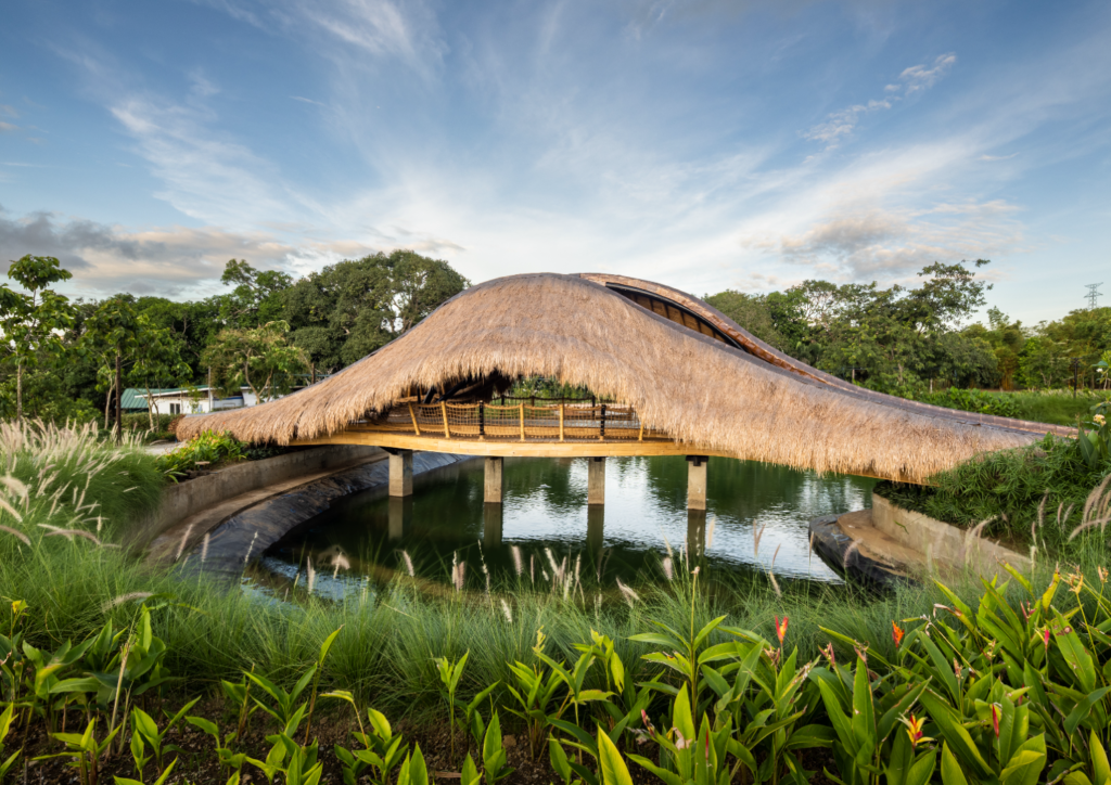 Bamboo, Beyond: Elora and Orin Hardy on Building Kaway’an EcoPark ...